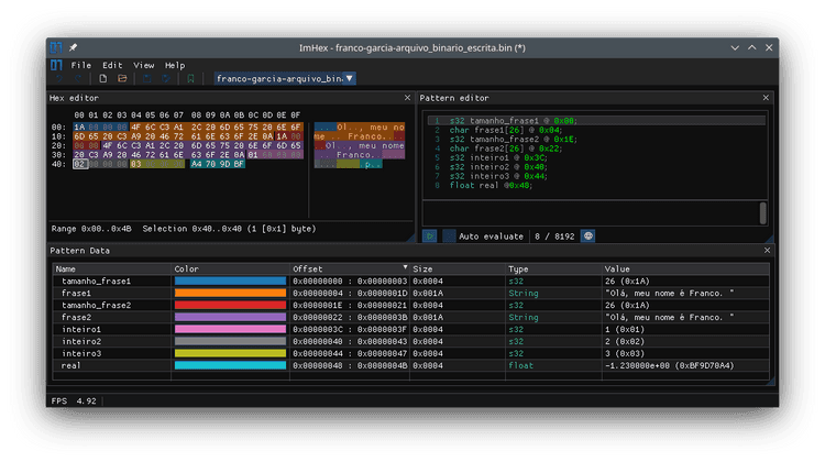 Learn Programming: Files and Serialization (Marshalling) · Franco Garcia